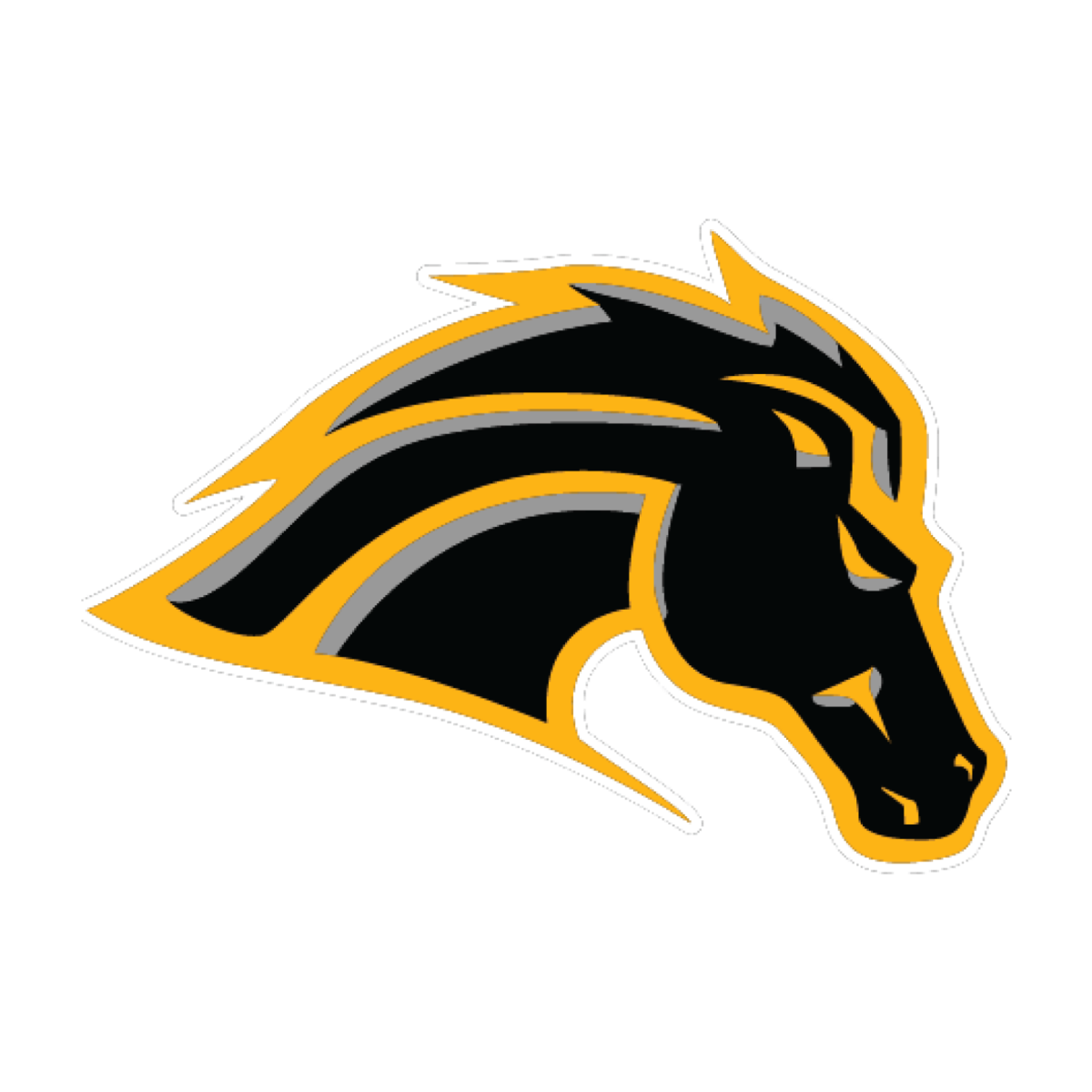 Large School Boys + The State Farm Holiday Classic